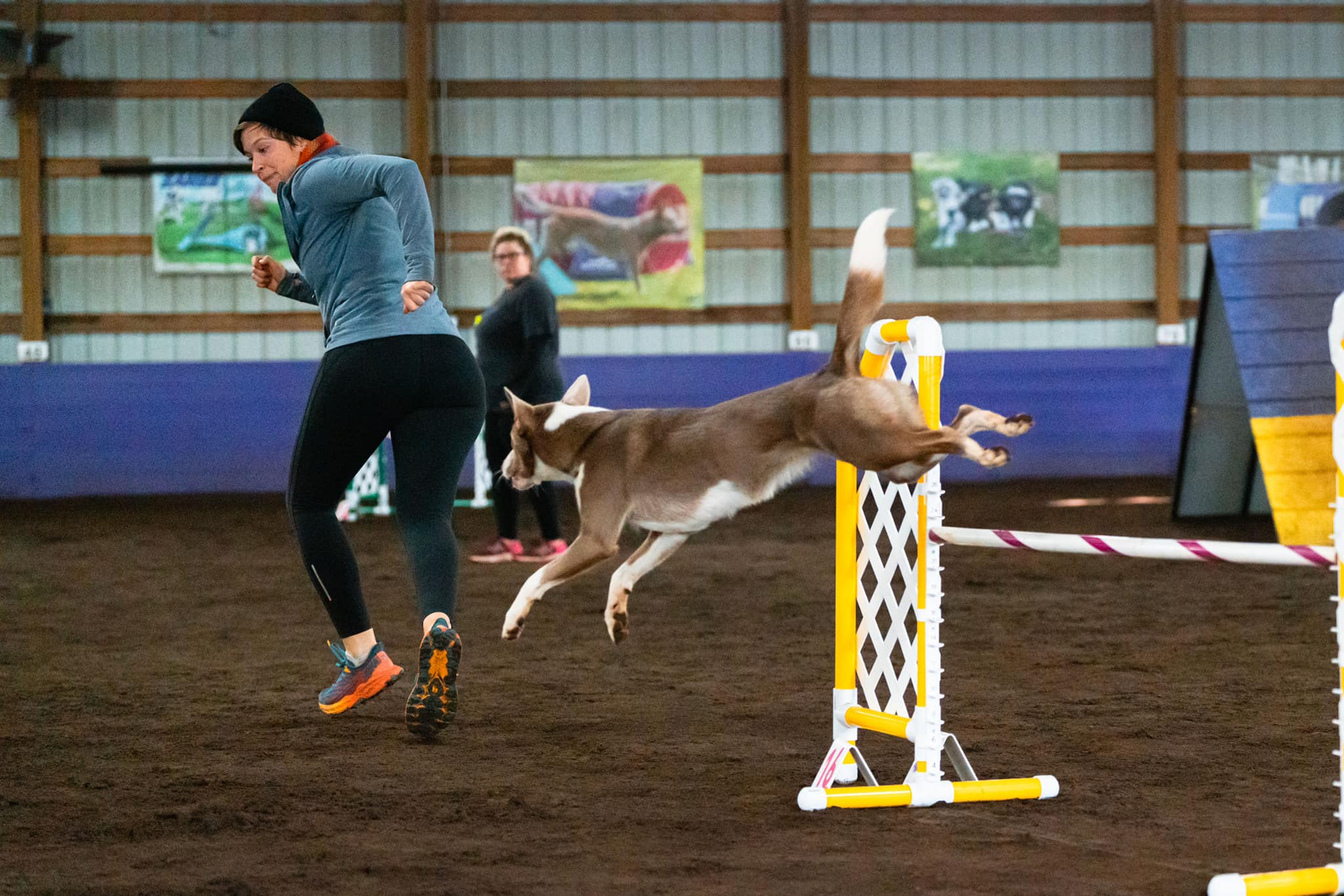 Tegan Moore – Temerity Dogs